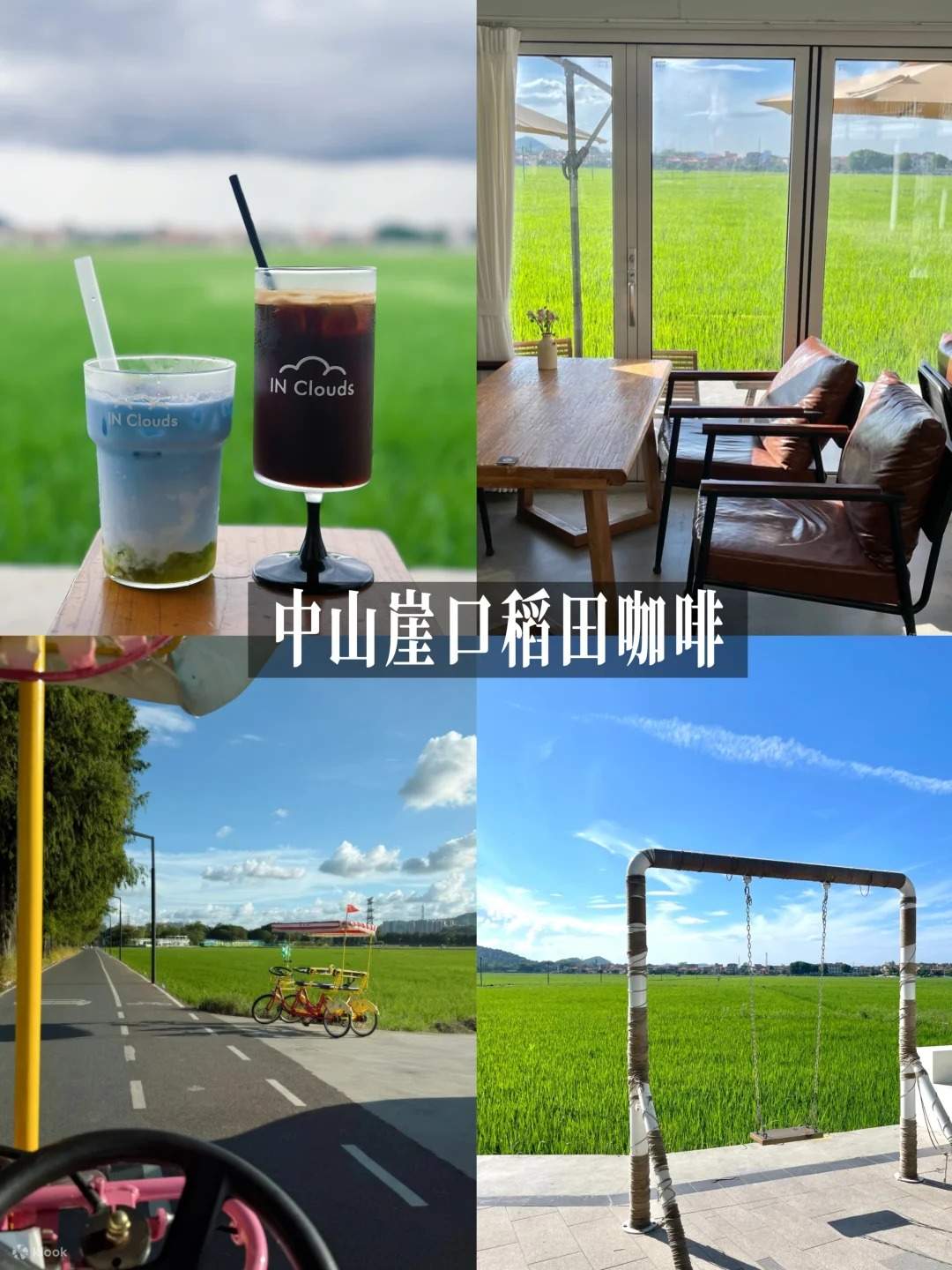 [Sabores del Delta del Río Perla] Pichón de Zhongshan/Carpa crujiente ...